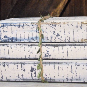 Old Book Stack, Book Decor, Neutral Shelf Decor, French Typography ...