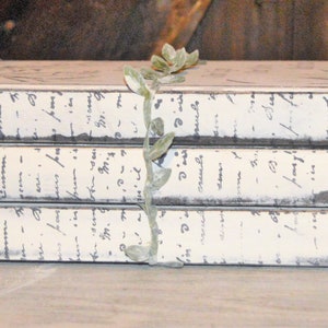 Old Book Stack, Book Decor, Neutral Shelf Decor, French Typography ...