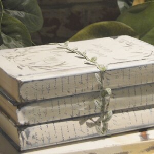 Old Book Stack, Book Decor, Neutral Shelf Decor, French Typography ...