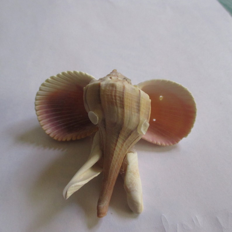 Shell Elephants, Each Unique, Several Styles - Etsy