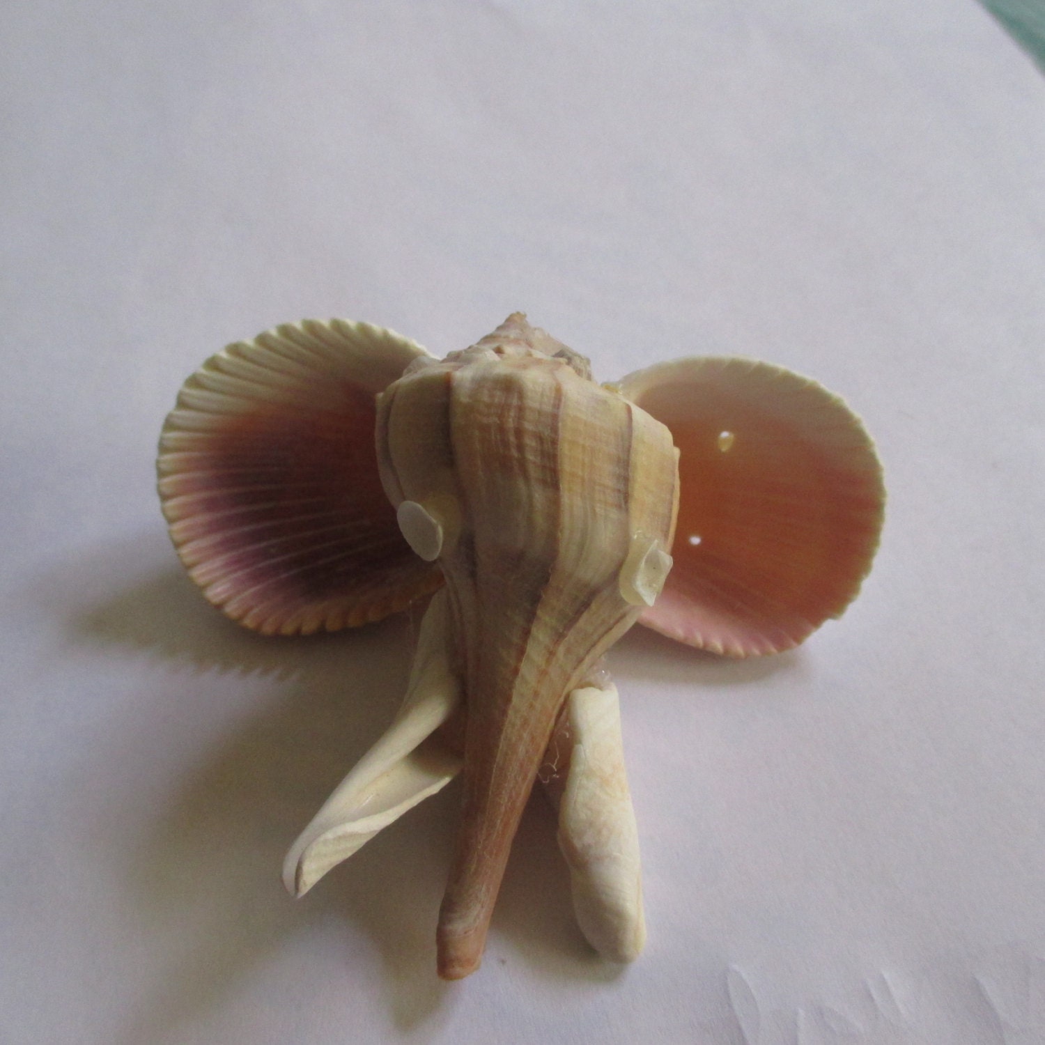 Shell Elephants, Each Unique, Several Styles - Etsy