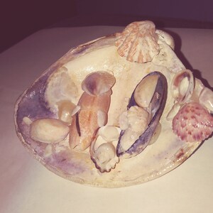 Nativity Scenes Crafted From Shells Each One Unique - Etsy