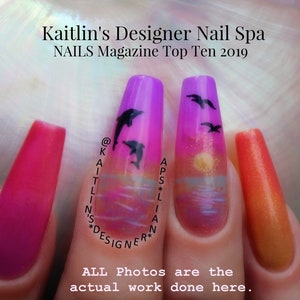 Dolphin Dreams Gel Artificial Nail Art With Hand Painted Dolphins ...