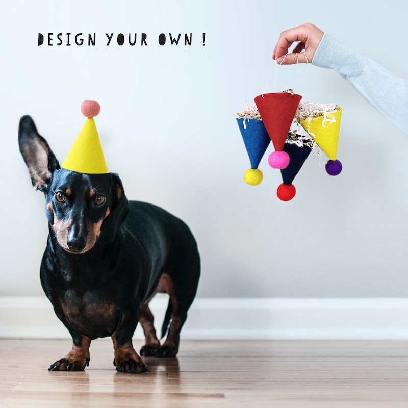 Dog Birthday Hat - Etsy