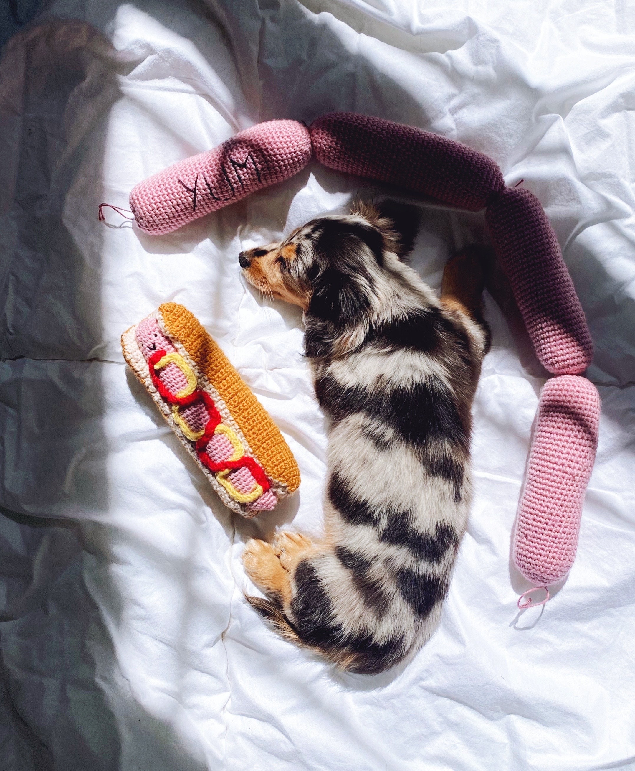 Handmade Crochet Merino Wool Sausage Link Dog Toy With Squeaker - Etsy