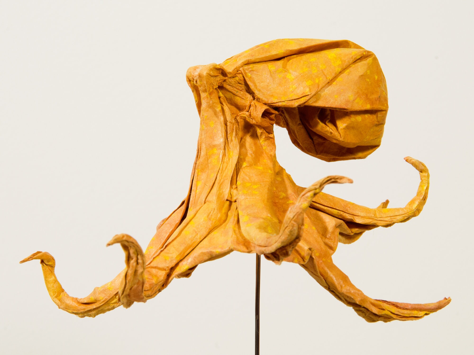 Octopus Origami Paper Sculpture Art, Animal Statue, OOAK, Beach House ...