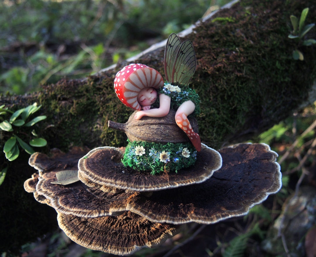 Tiny Sleeping Gumnut Woodland Mushroom Fairy by Celia Anne - Etsy Canada