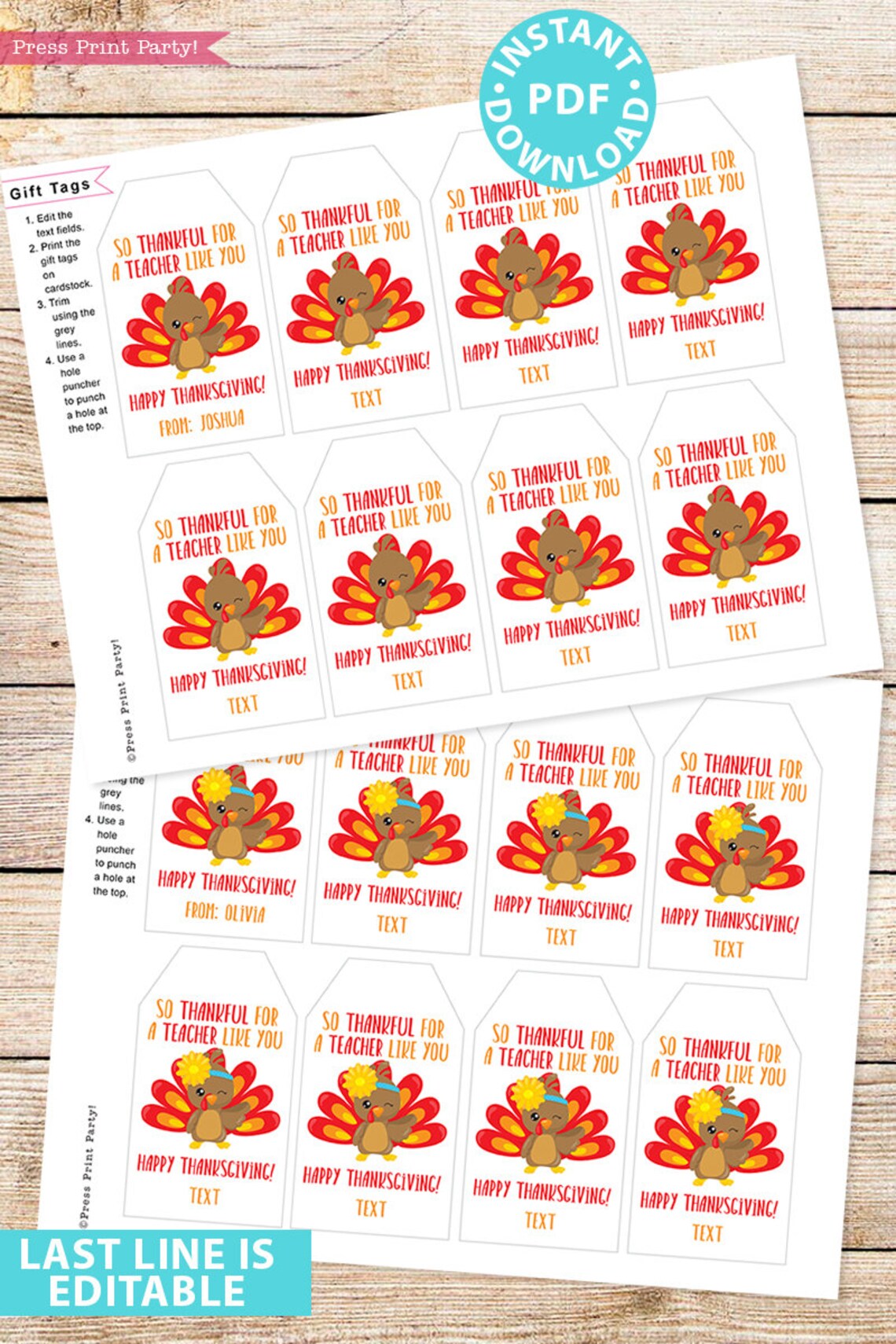 EDITABLE Thanksgiving Tags for Teacher Printable Template for - Etsy