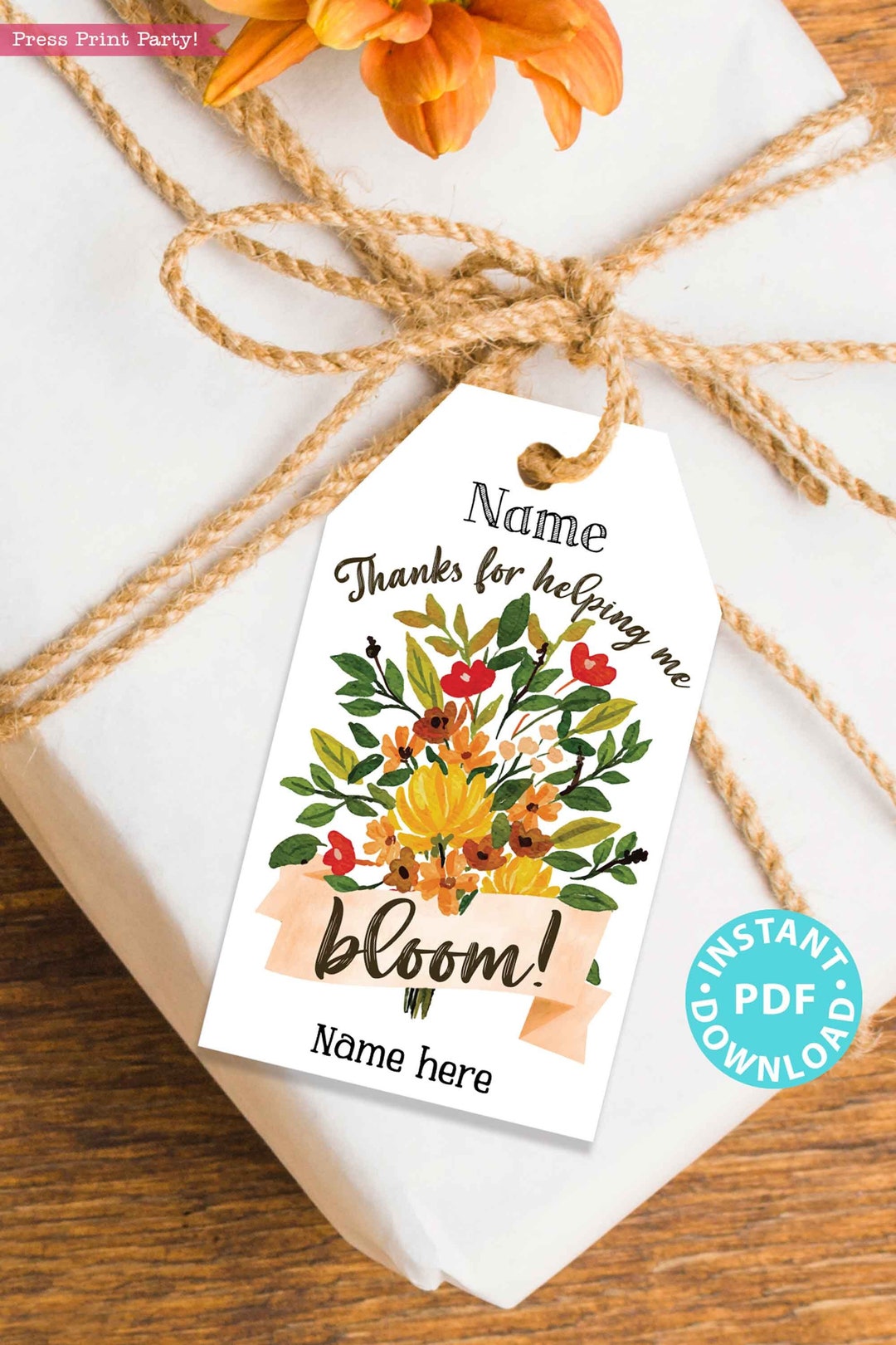 EDITABLE Teacher Appreciation Gift Tags Printable, Teacher Thank You ...