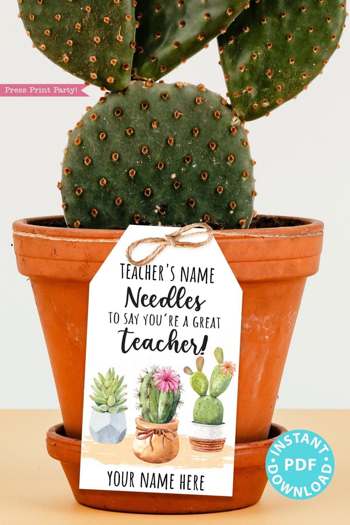 EDITABLE Teacher Appreciation Gift Tags Printable Teacher | Etsy