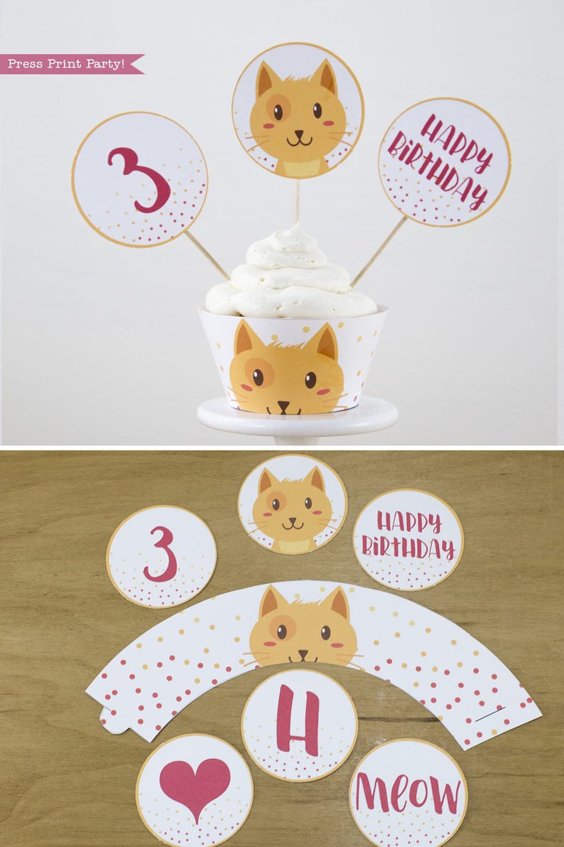Boy Cat Party Cupcake Toppers and Wrapper Printable Cat - Etsy