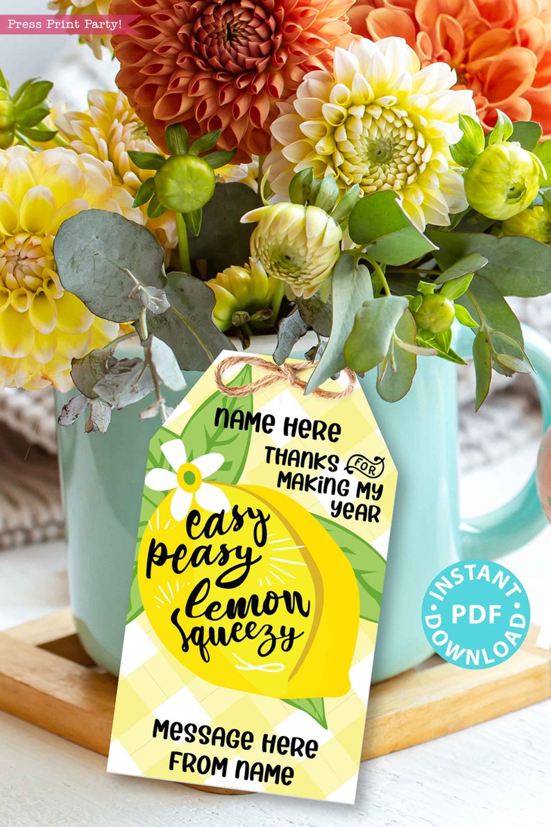 EDITABLE Teacher Appreciation Gift Tags Printable, Teacher Thank You ...