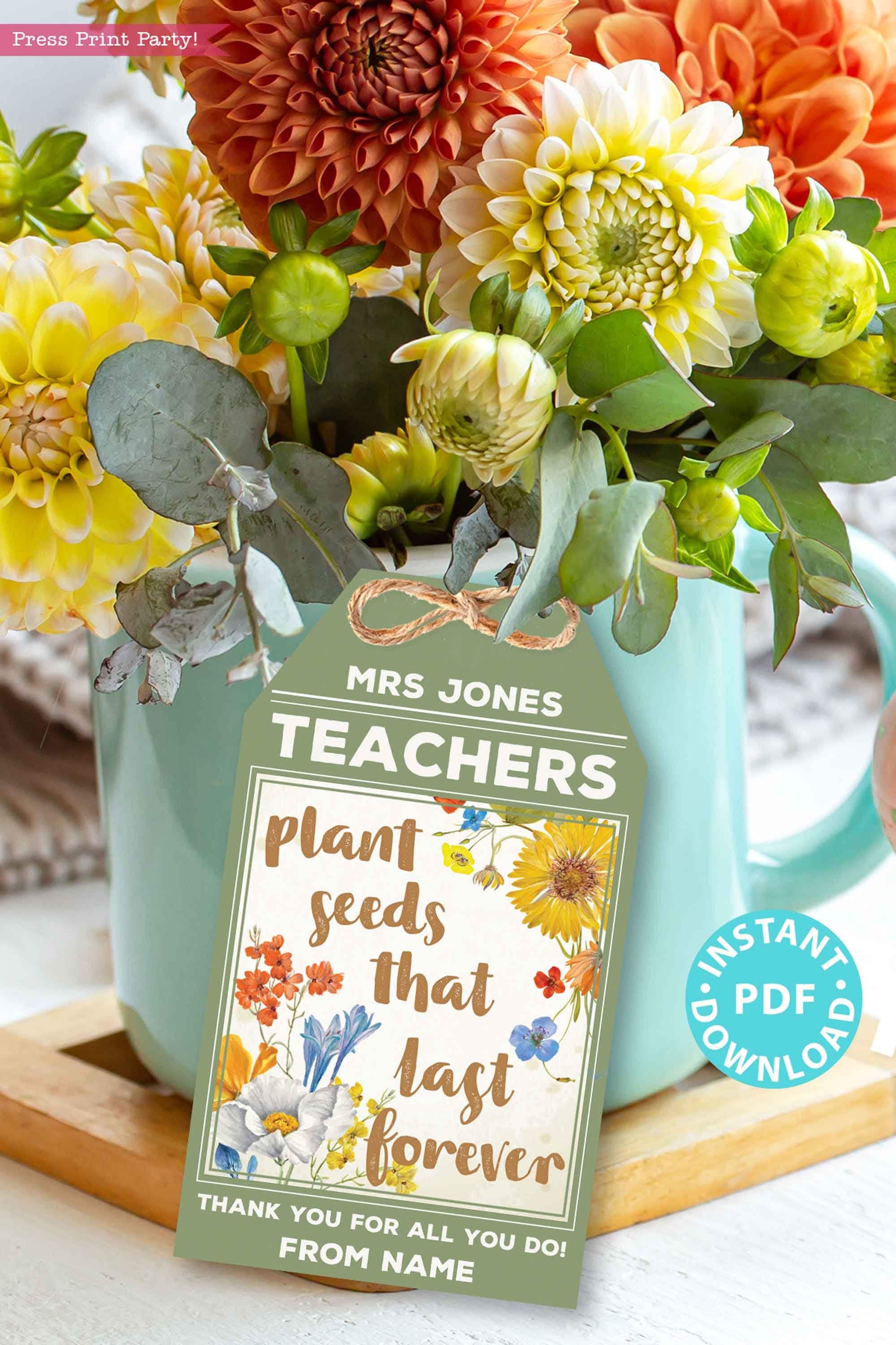 EDITABLE Teacher Appreciation Gift Tags Printable, Teacher Thank You ...