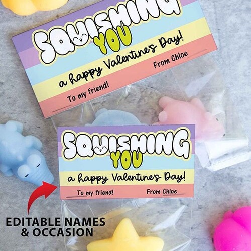 4 EDITABLE Squishies Valentines Cards and Bag Toppers - Etsy