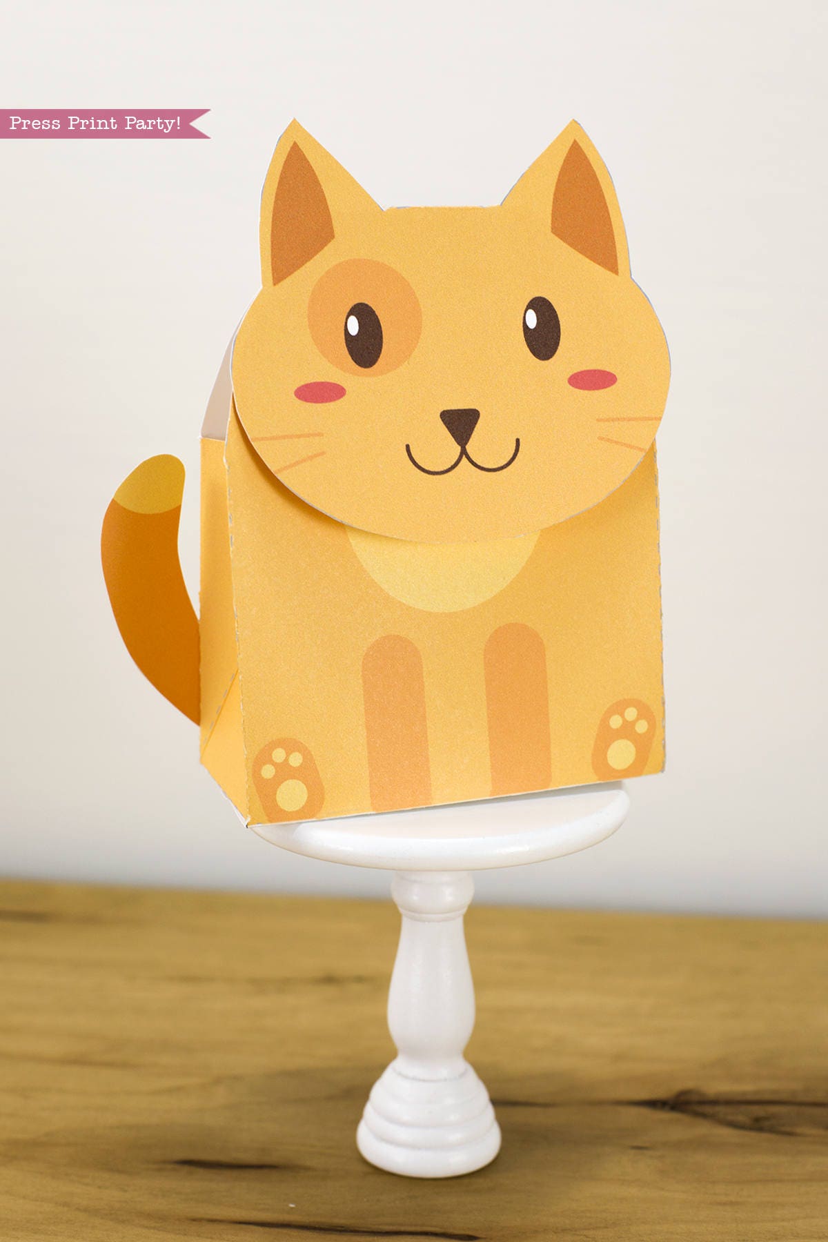 Cat Gift Box Printable DIY Printable Box Cat Party | Etsy