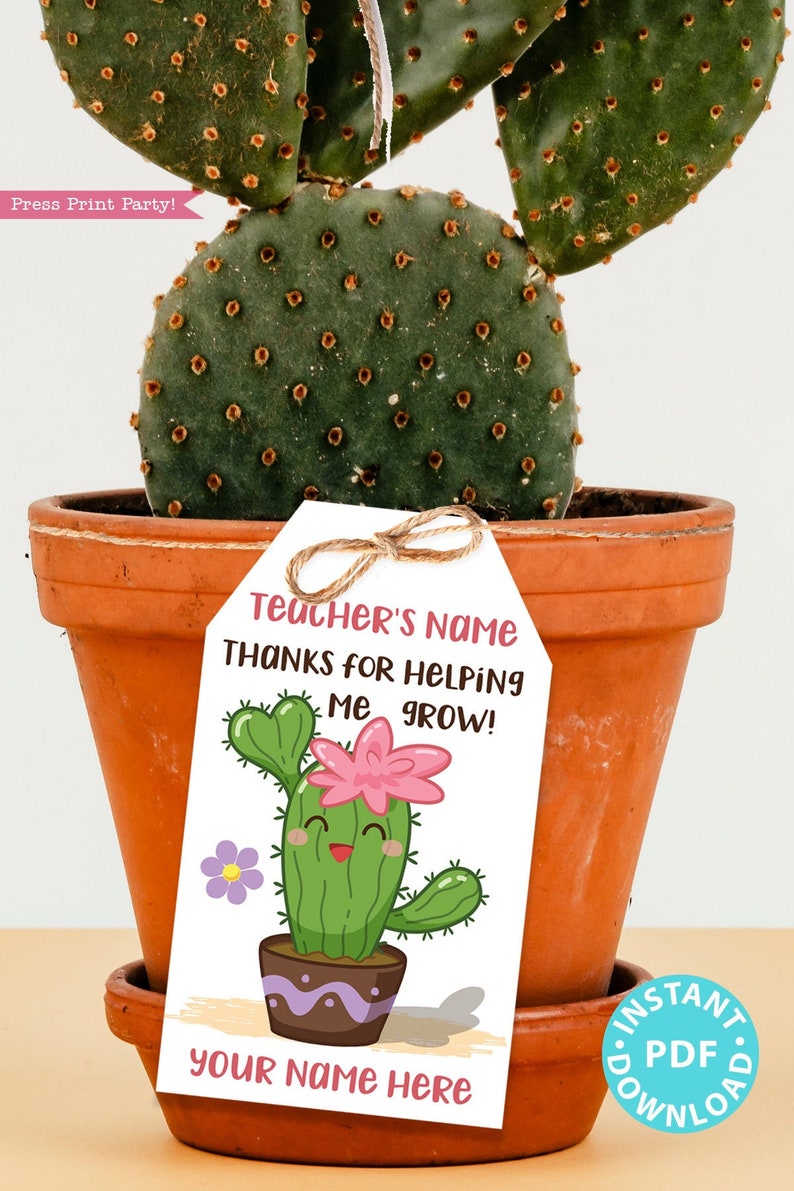 EDITABLE Teacher Appreciation Gift Tags Printable Cactus Pun - Etsy