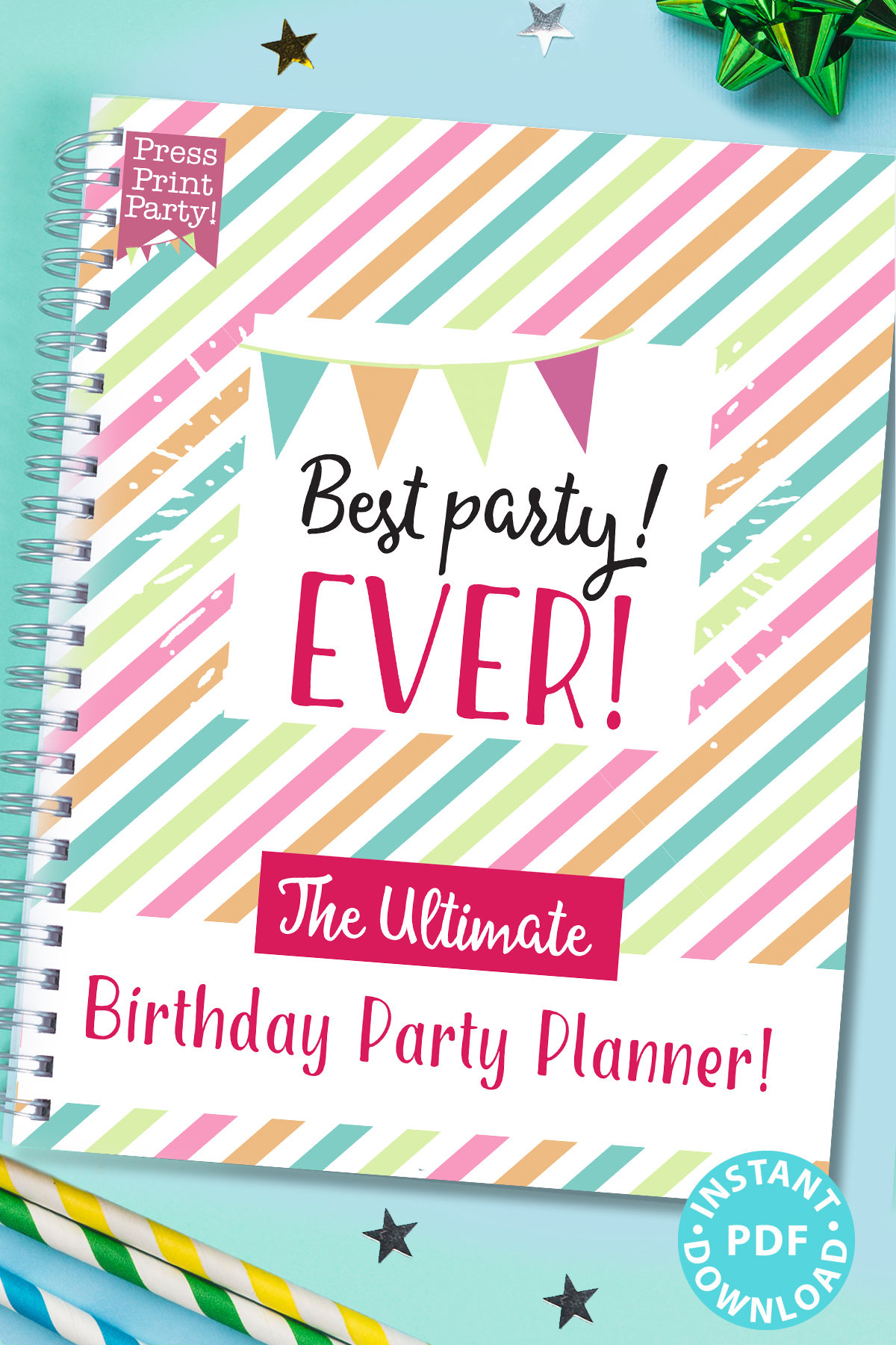 Ultimate Birthday Party Planner Checklist and Templates | Etsy