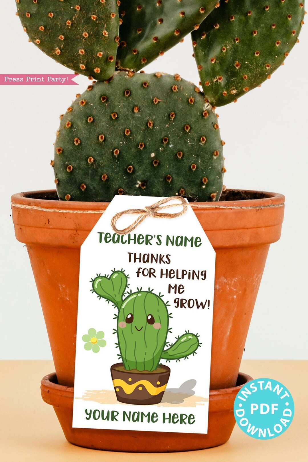 EDITABLE Teacher Appreciation Gift Tags Printable Teacher - Etsy