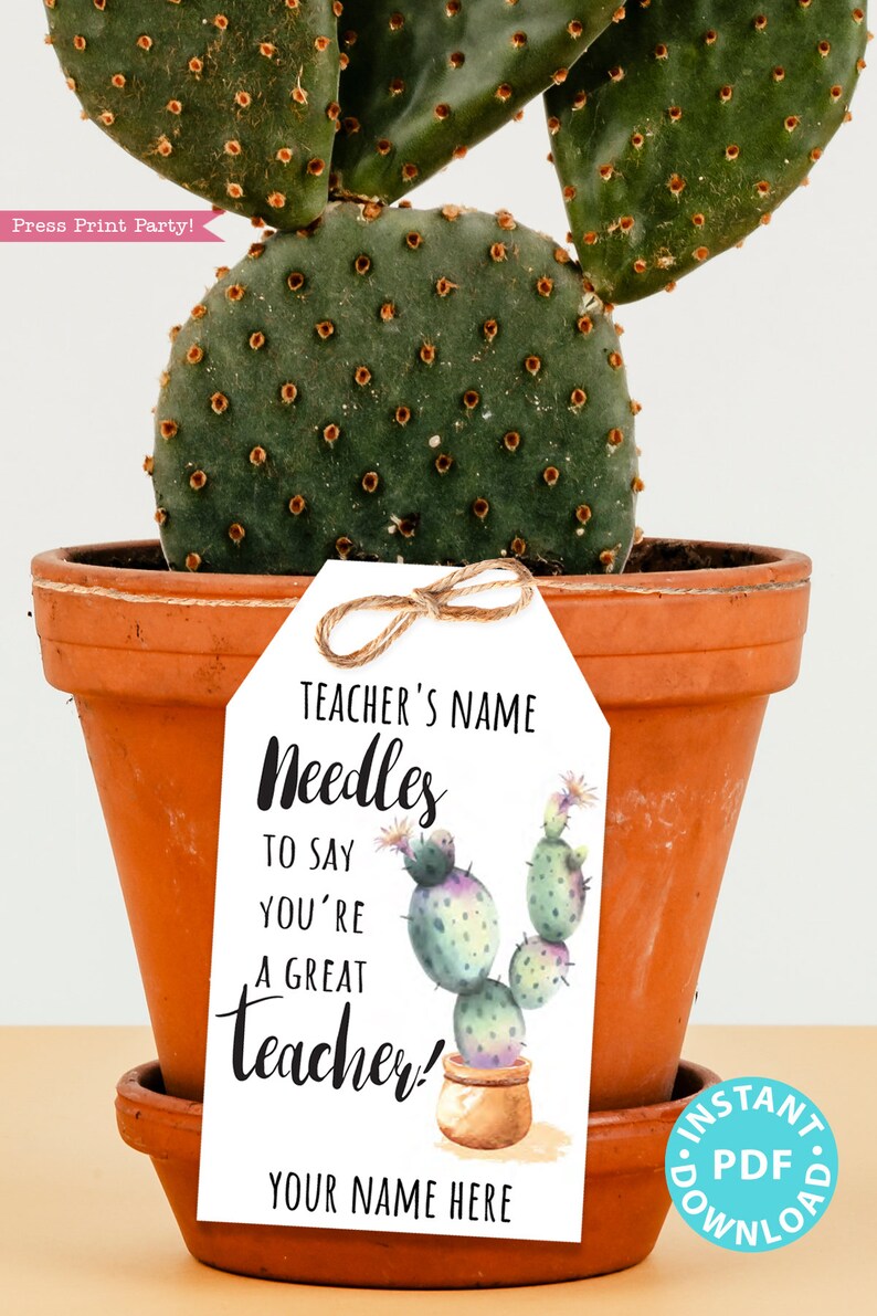 EDITABLE Teacher Appreciation Gift Tags Printable, Teacher Thank You ...