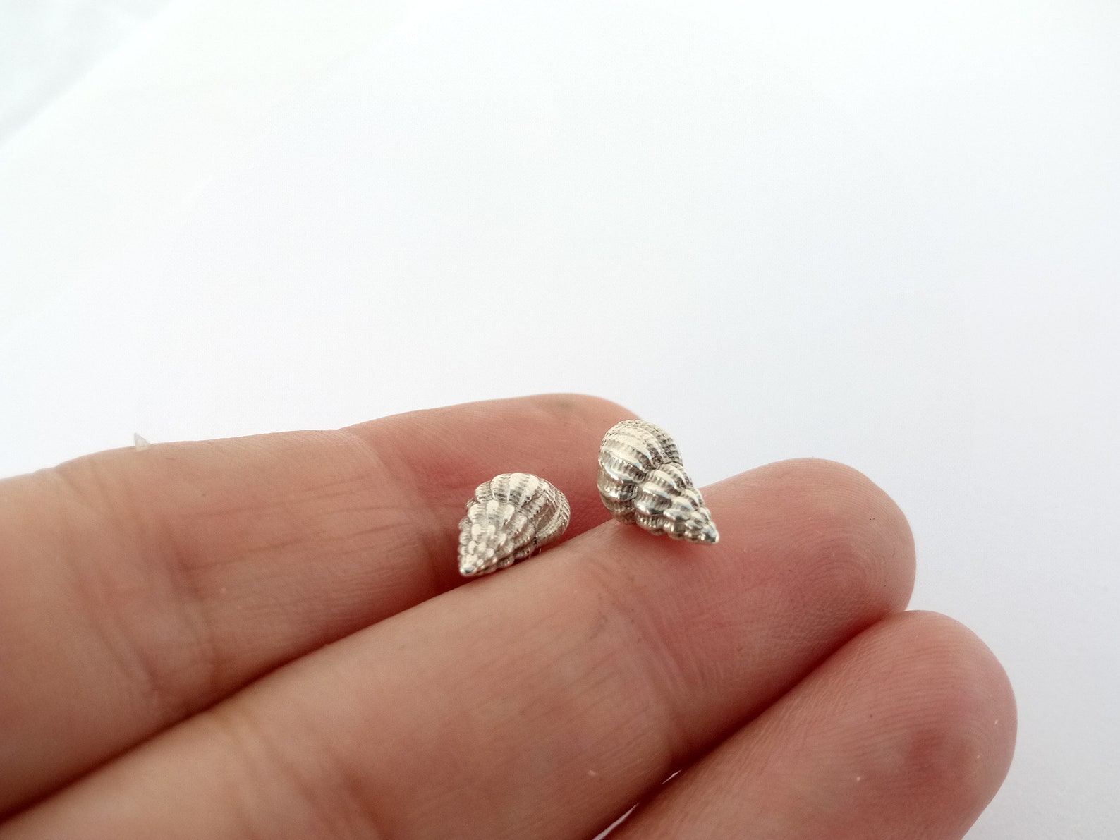 3d Sterling Silver Seashell Post Earrings in Sterling Silver - Etsy