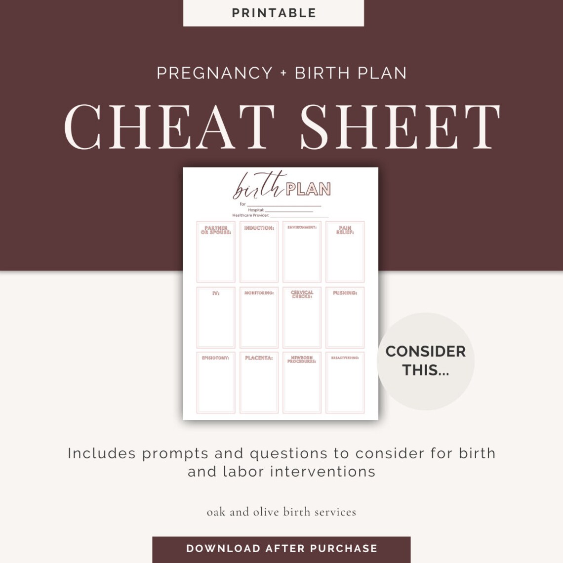 Hospital Birth Plan, Home Birth Cheat Sheet, Pregnancy Planning Labor ...