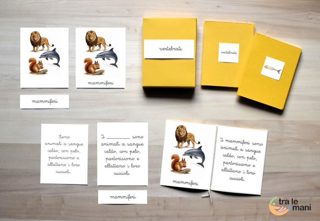 Montessori Nomenclature _ VERTEBRATES and INVERTEBRATES - Etsy