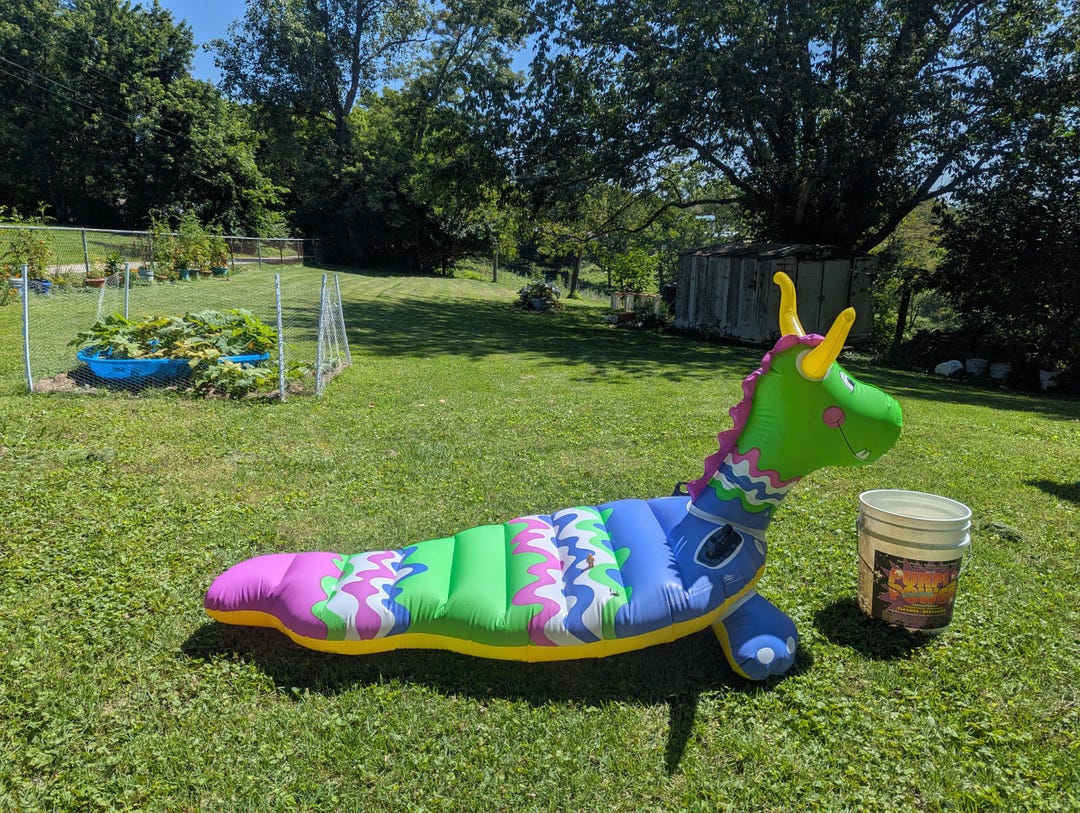Dragon Floatie Wet Set Ride on Toy Vintage 1991 - Etsy