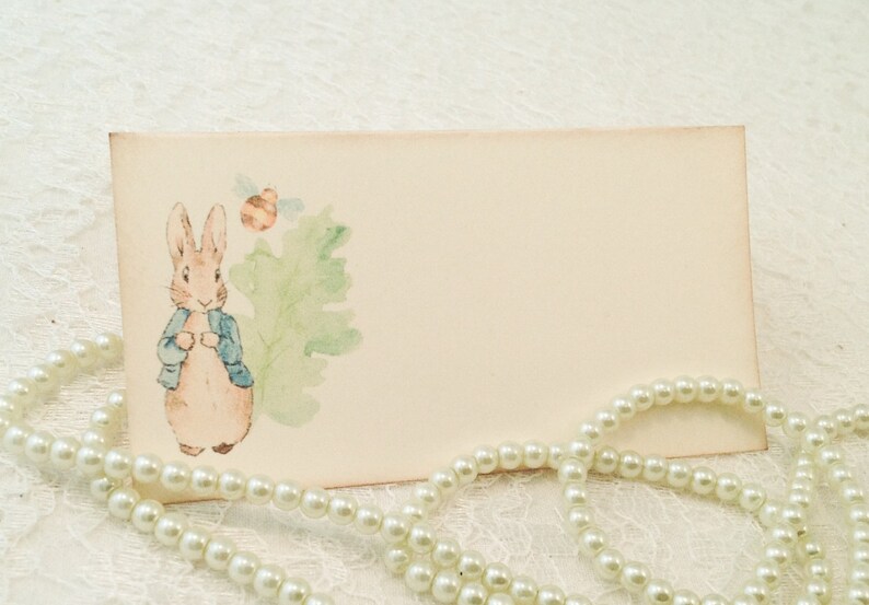 Peter Rabbit Place Cards Placecards Signs for Candy Buffet - Etsy