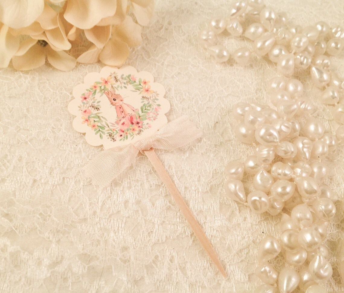 Peter Rabbit Pink Jacket Cupcake Pick Toppers Labels-beatrix | Etsy