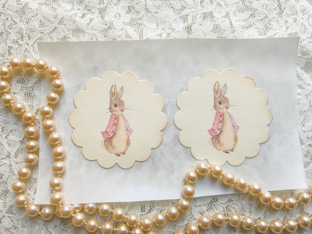 Flopsy Bunny Stickers-peter Rabbit Stickers-peter Rabbit Pink Jacket ...