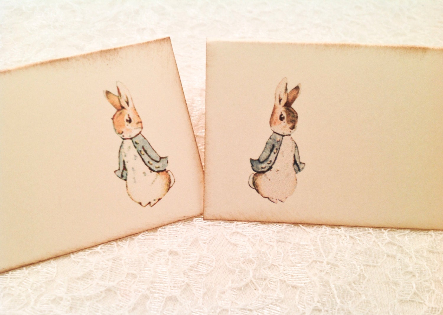 Peter Rabbit Place Cards -baby Shower, Wedding, Birthday Place Cards ...