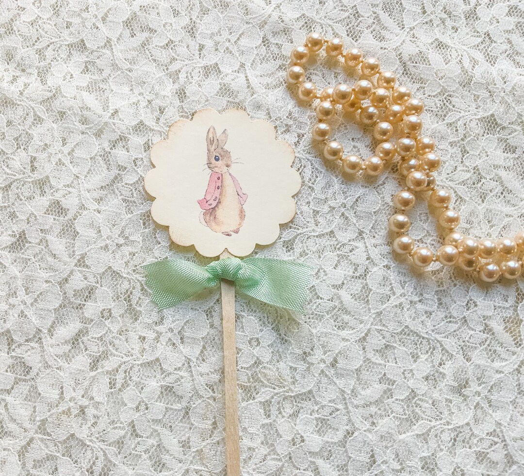 Flopsy Bunny Cupcake Topper - Peter Rabbit Pink Jacket Cupcake Pick ...