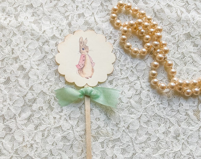 Flopsy Bunny Cupcake Topper Peter Rabbit Pink Jacket Cupcake Pick ...
