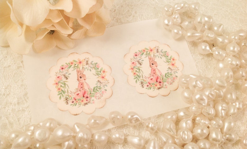 Peter Rabbit Stickers-peter Rabbit Pink Jacket Girl Baby | Etsy