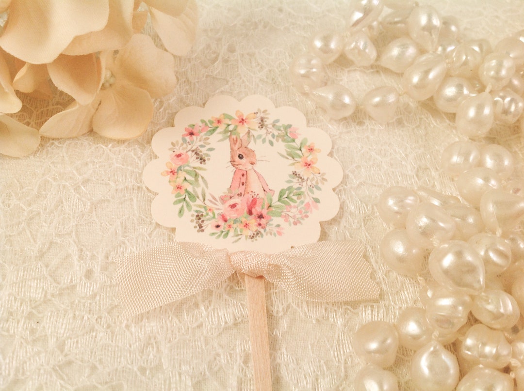 Peter Rabbit Pink Jacket Cupcake Pick Toppers Labels-beatrix Potter ...