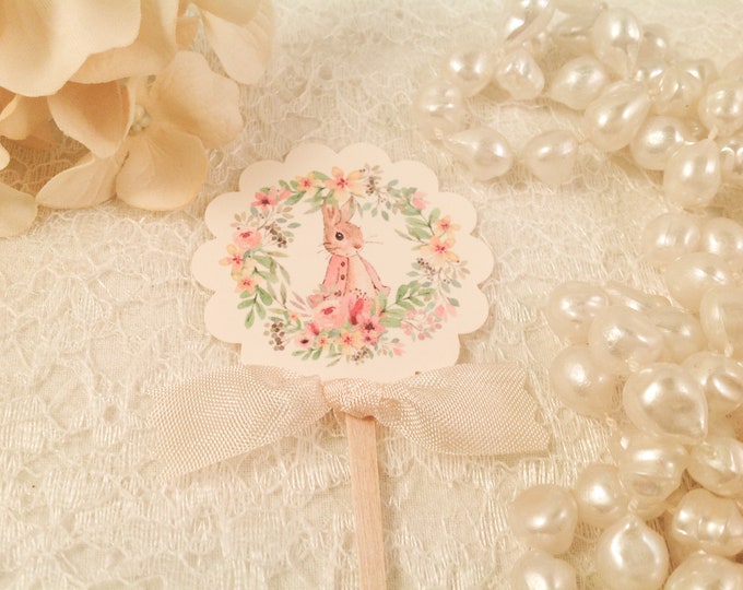Peter Rabbit Pink Jacket Cupcake Pick Toppers Labels-beatrix Potter ...
