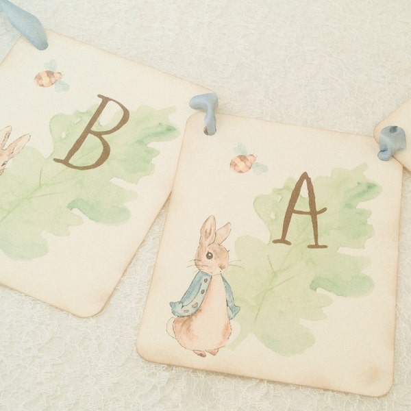Peter Rabbit Party - Etsy