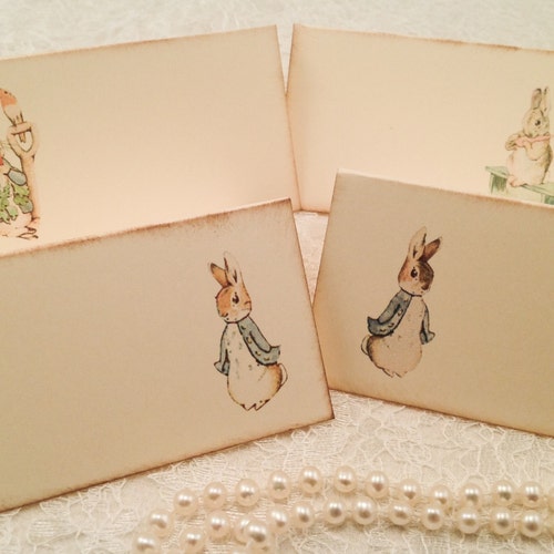 Peter Rabbit Place Cards baby Shower Wedding Birthday Place - Etsy