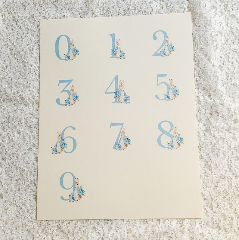 Peter Rabbit Numbers Cupcake Topper - Peter Rabbit Cupcake Pick Toppers ...