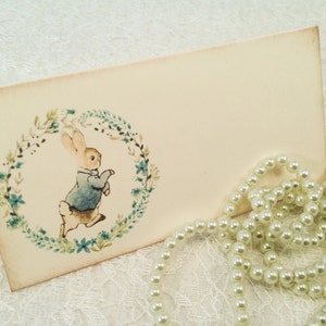 Peter Rabbit Place Cards baby Shower, Wedding, Birthday Place Cards ...