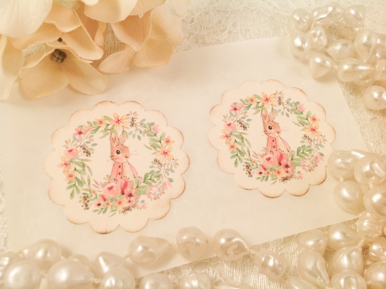 Peter Rabbit Stickers-peter Rabbit Pink Jacket Girl Baby - Etsy