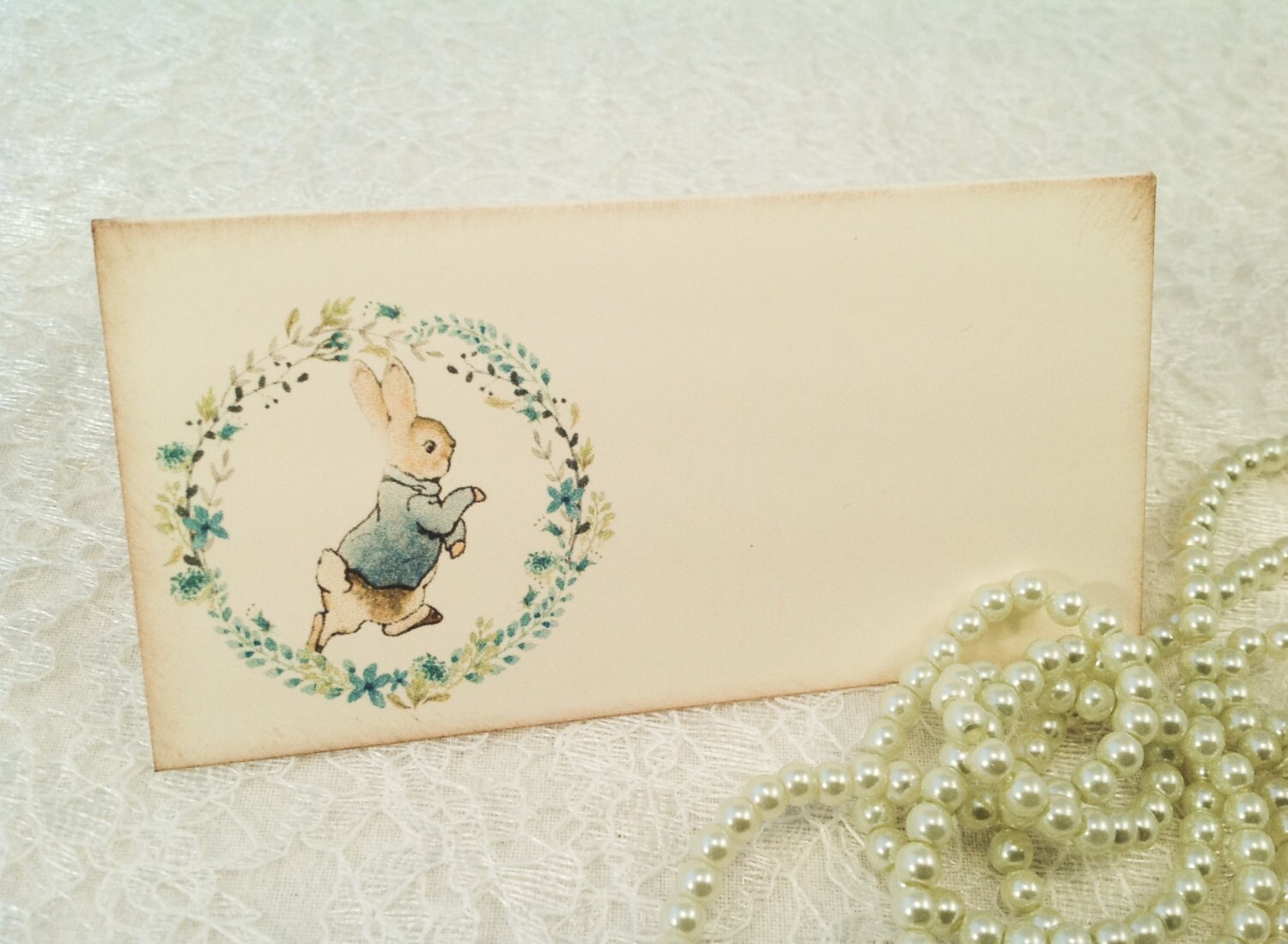 Peter Rabbit Place Cards baby Shower Wedding Birthday Place | Etsy