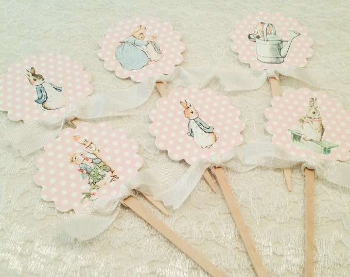 Peter Rabbit Cupcake Picks Toppers-first Birthday Baby Shower Girl ...