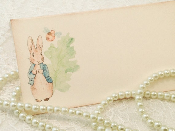 Peter Rabbit Place Cards Placecards Signs for Candy Buffet | Etsy