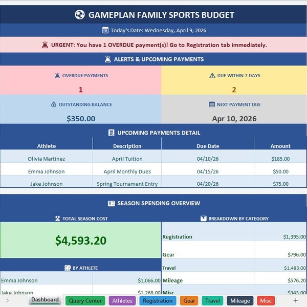 Travel Baseball Team Budget Spreadsheet - Etsy