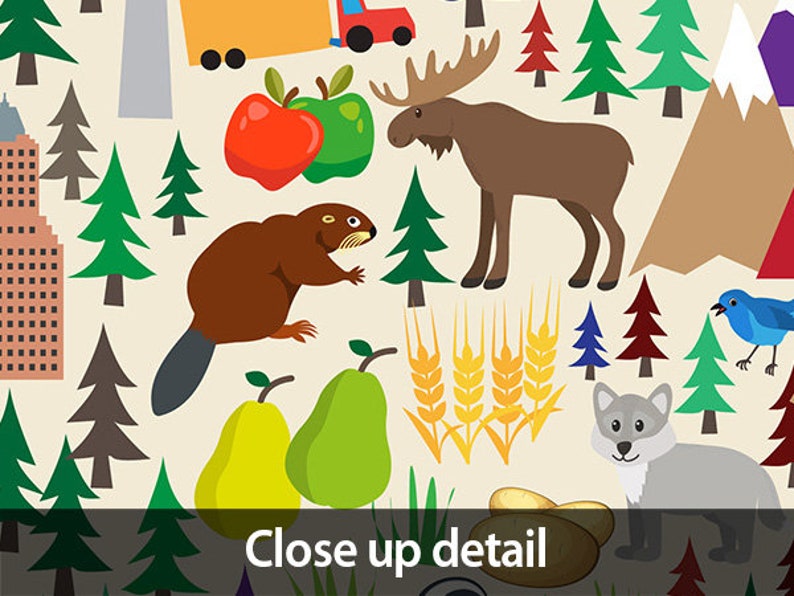 Animal Map of the United States for Children and Kids, USA Map, Art ...