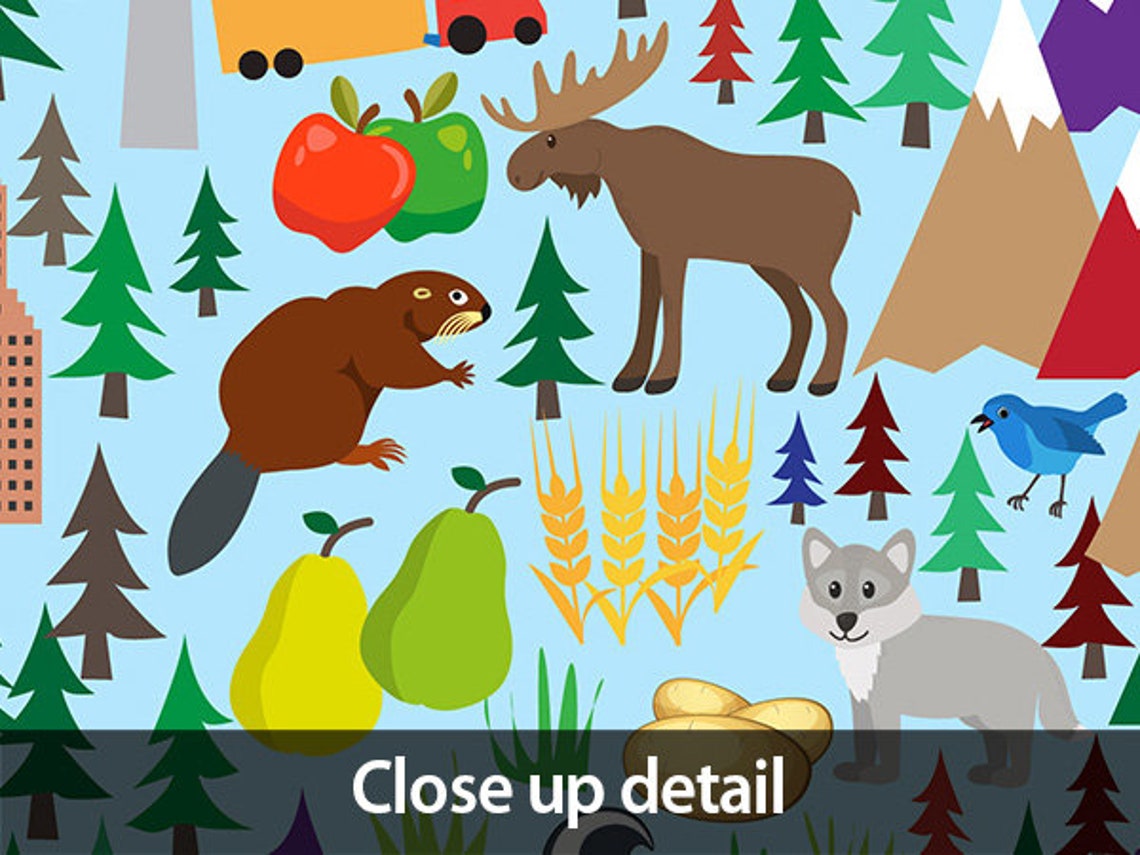 Animal Map of the United States Map for Children and Kids - Etsy UK