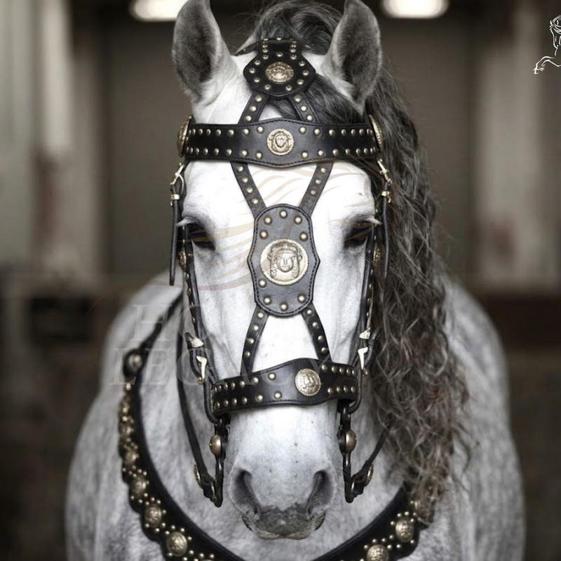 Horse Bridle Antique - Etsy UK