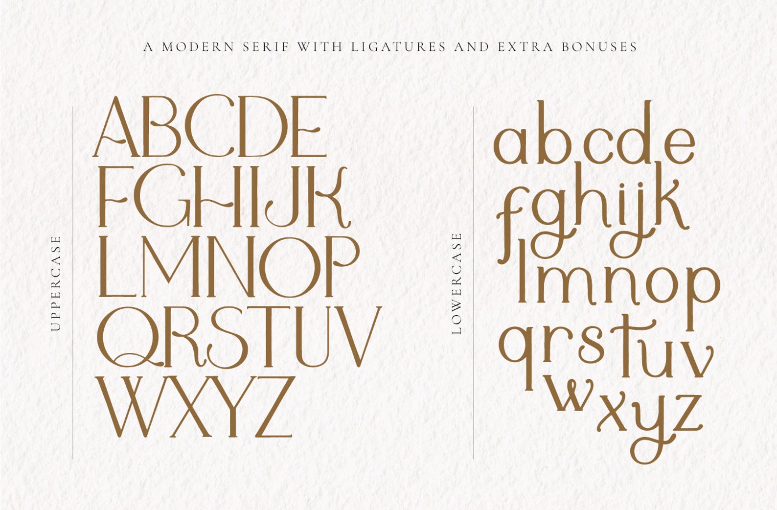 Adele Moon Serif Font - Etsy