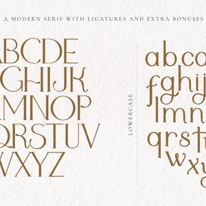 Adele Moon Serif Font - Etsy